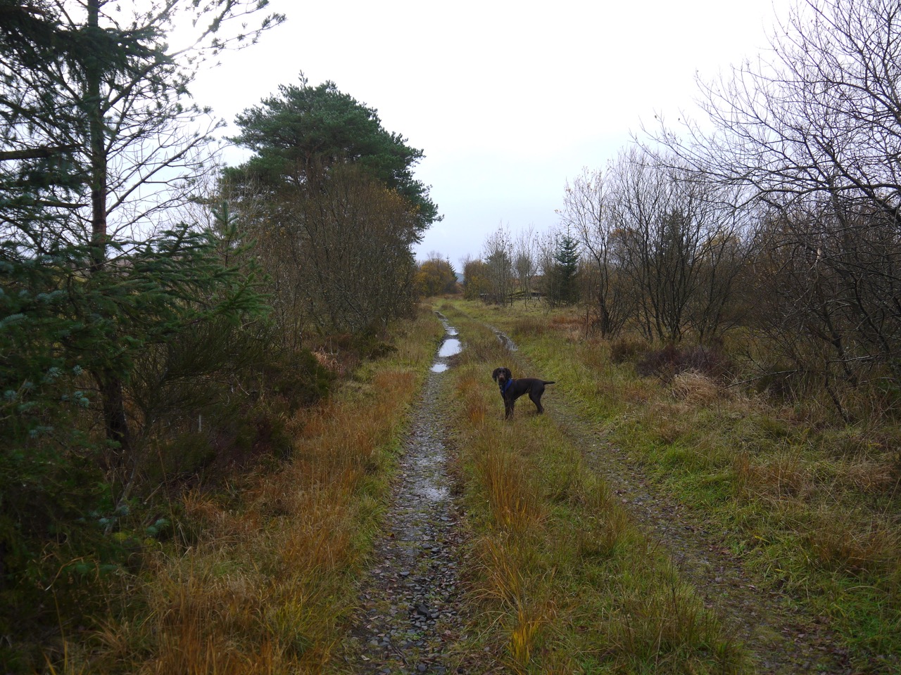 Portpatrick Railway | Drow 'n' Smirr