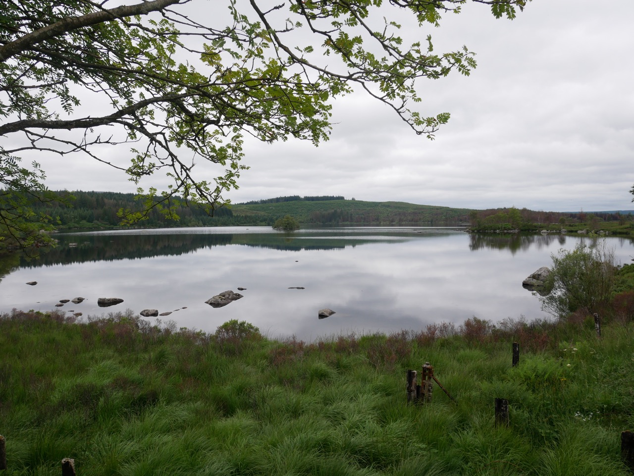 Mossdale to Gatehouse Station Railway Path | Drow 'n' Smirr