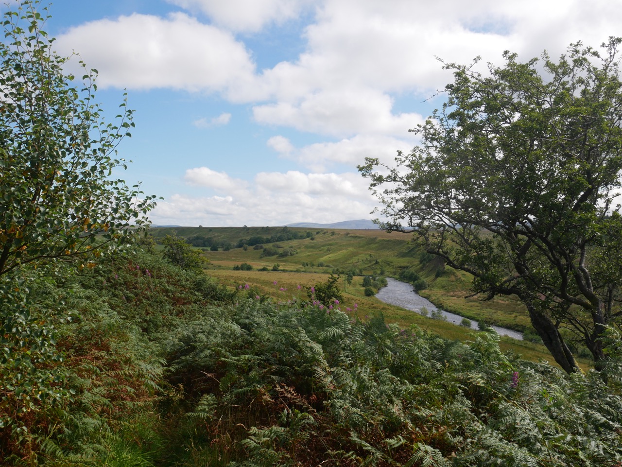 River Ayr Way: 2 – The Weir and The Voes | Drow 'n' Smirr