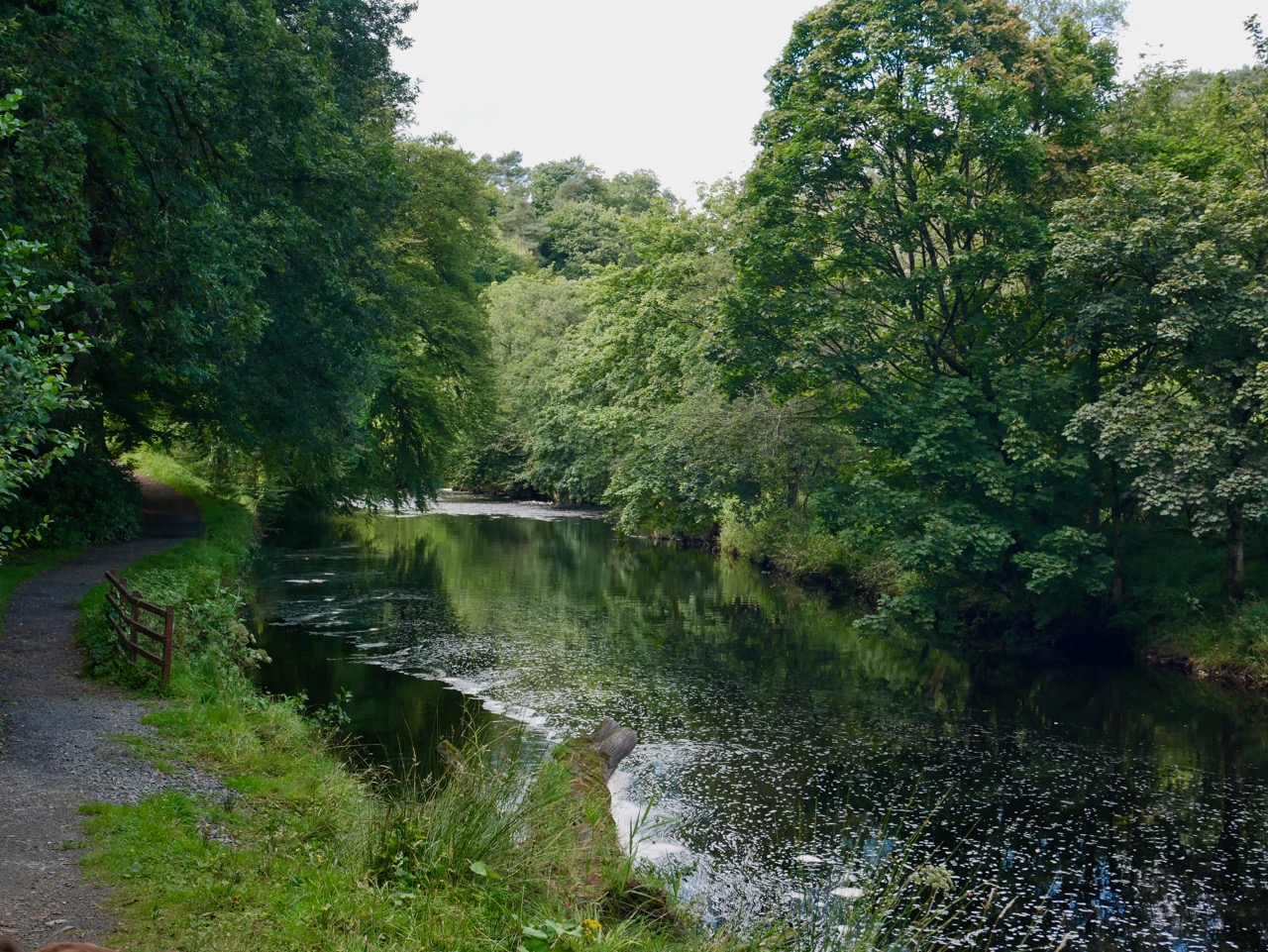 River Ayr Way: 2 – The Weir and The Voes | Drow 'n' Smirr