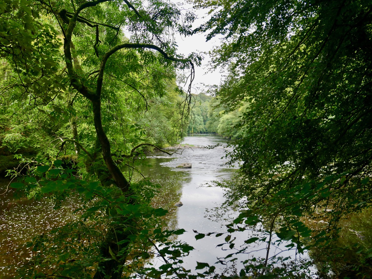 River Ayr Way: 4 – The Hallow’d Grove | Drow 'n' Smirr