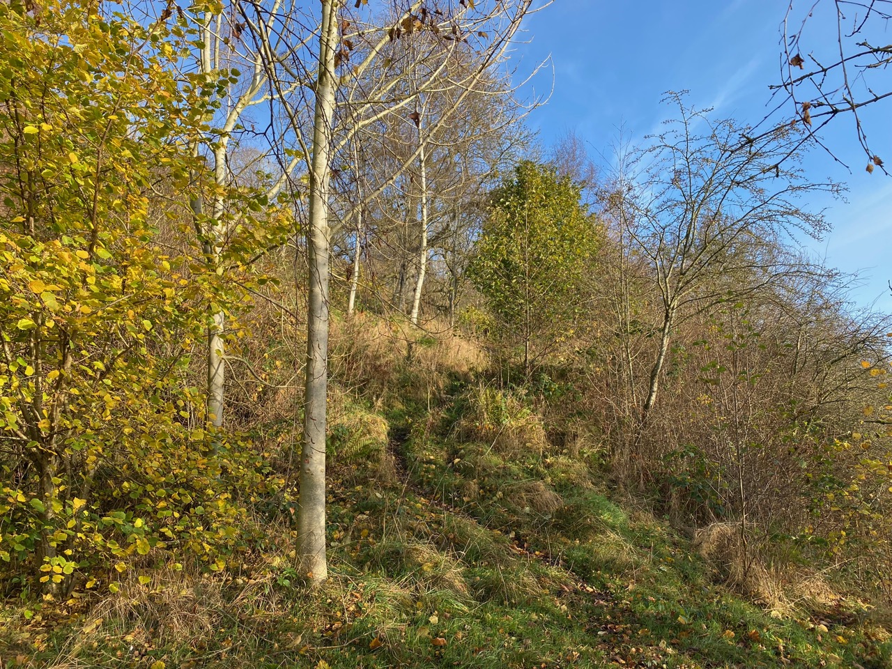 Eden Way: 6 – Red River and Hag Wood | Drow 'n' Smirr