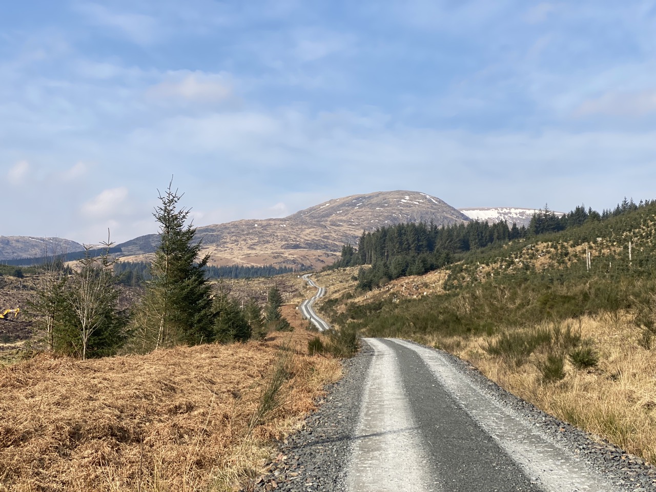 Around Bennan Hill: Larches and lost tracks | Drow 'n' Smirr