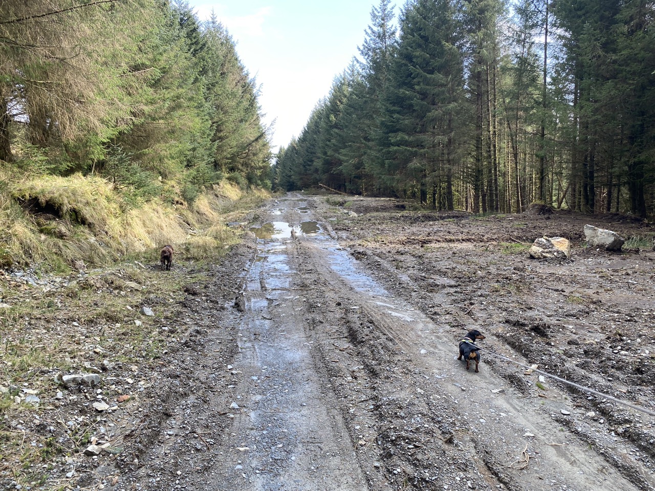 Drow 'n' Smirr | Some walks, mostly in SW Scotland, often in waterproofs