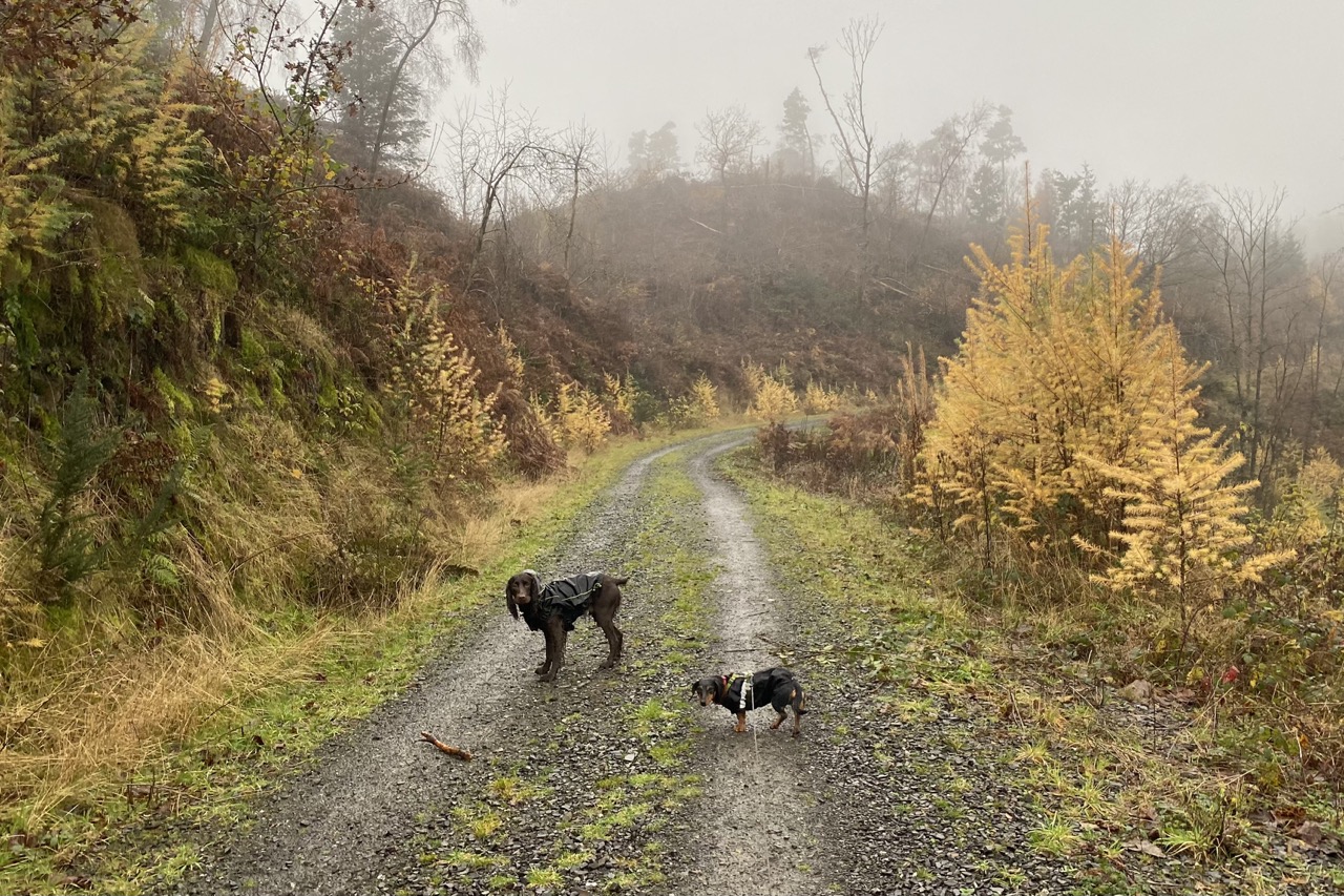 Drow 'n' Smirr | Some walks, mostly in SW Scotland, often in waterproofs