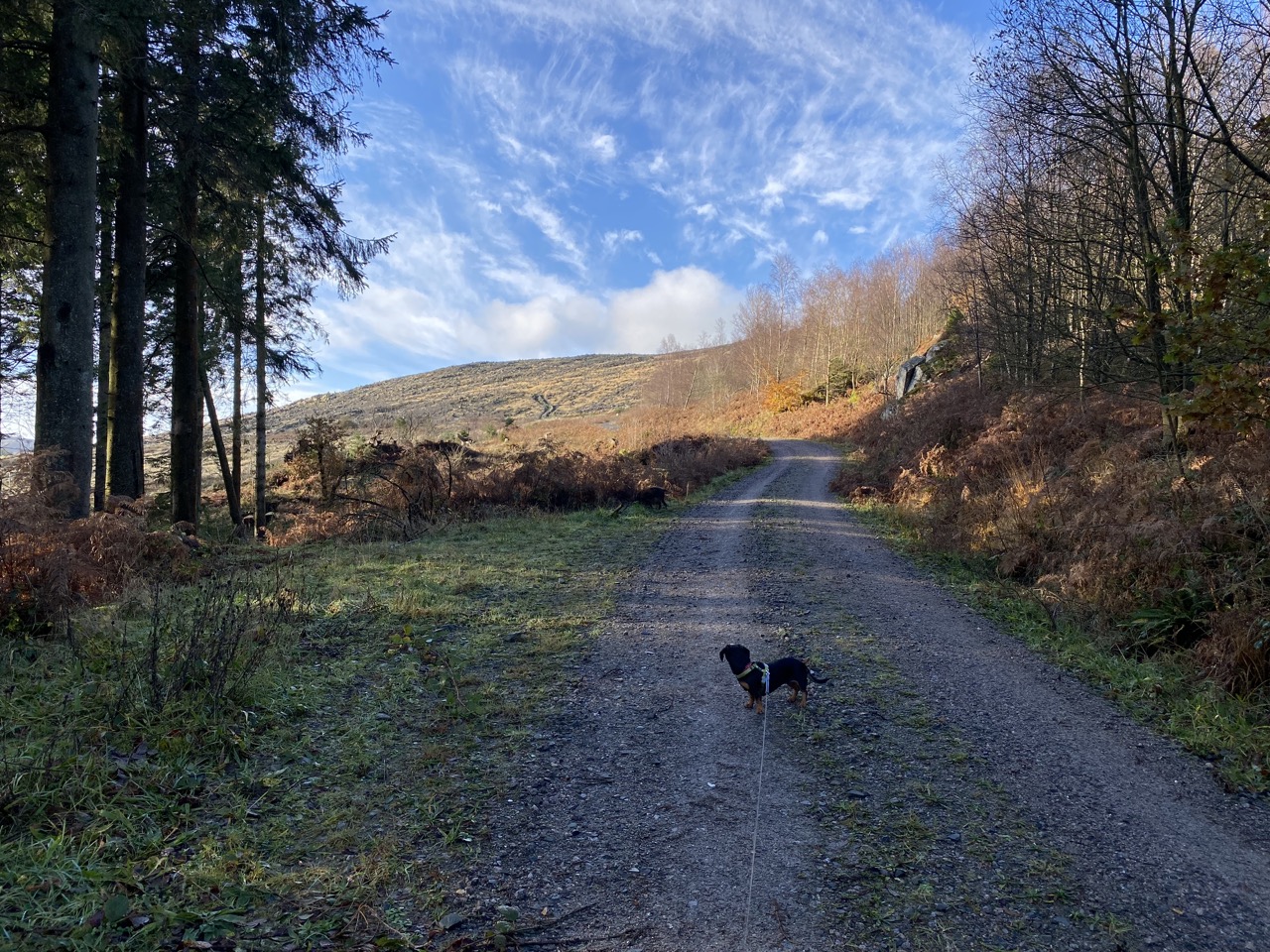 Lochbank Hill: Another Monica | Drow 'n' Smirr