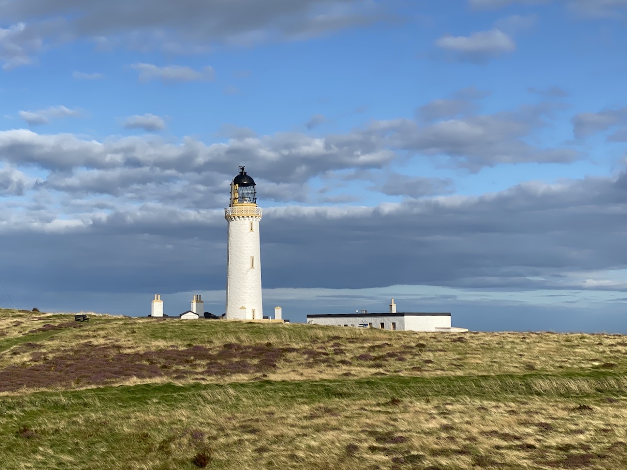 The Mull of Galloway Trail: 1 – overgrown, elusive and unfrequented ...