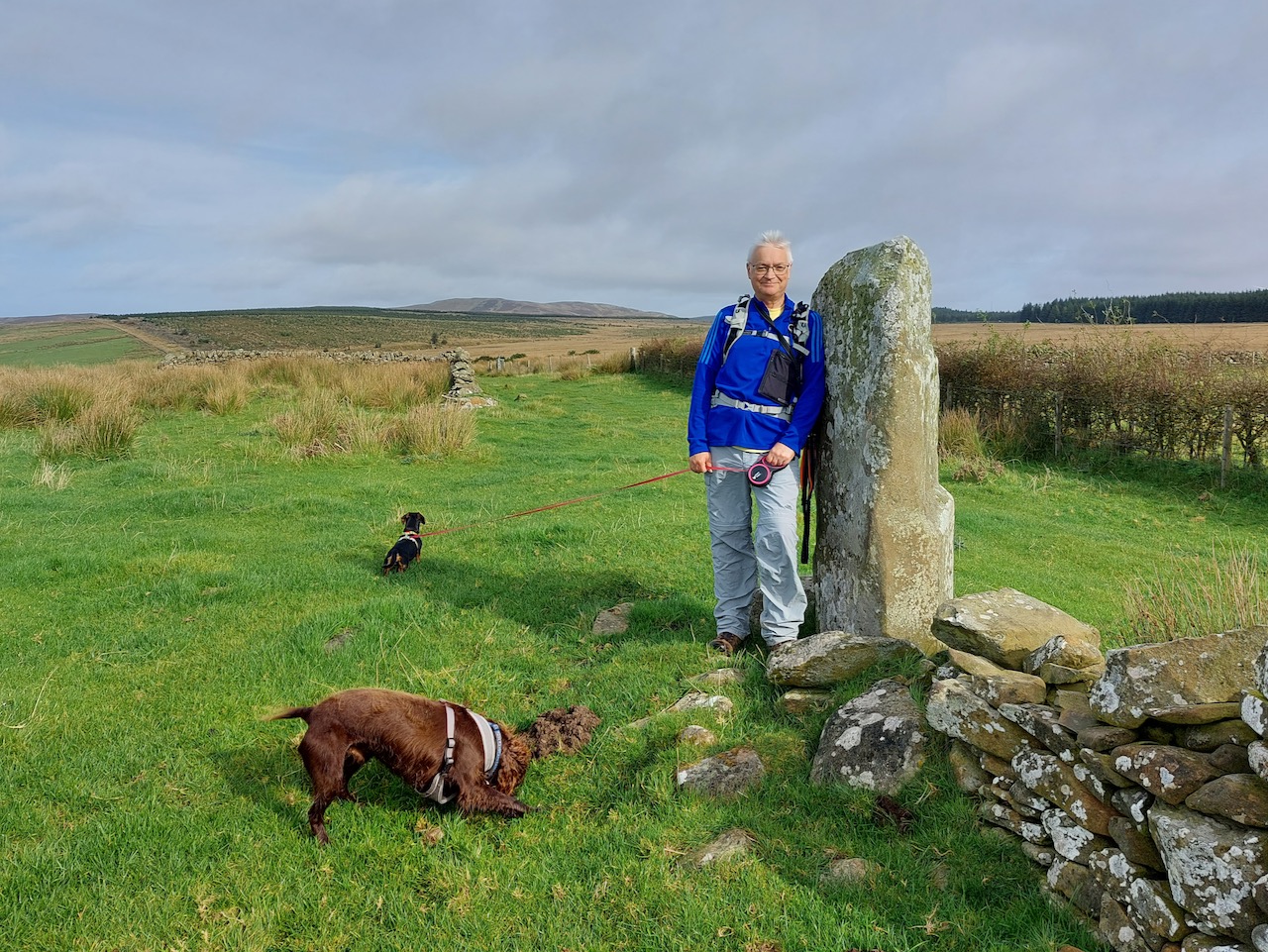 Mull of Galloway Trail: 5 – moorland, laight, and stane | Drow 'n' Smirr